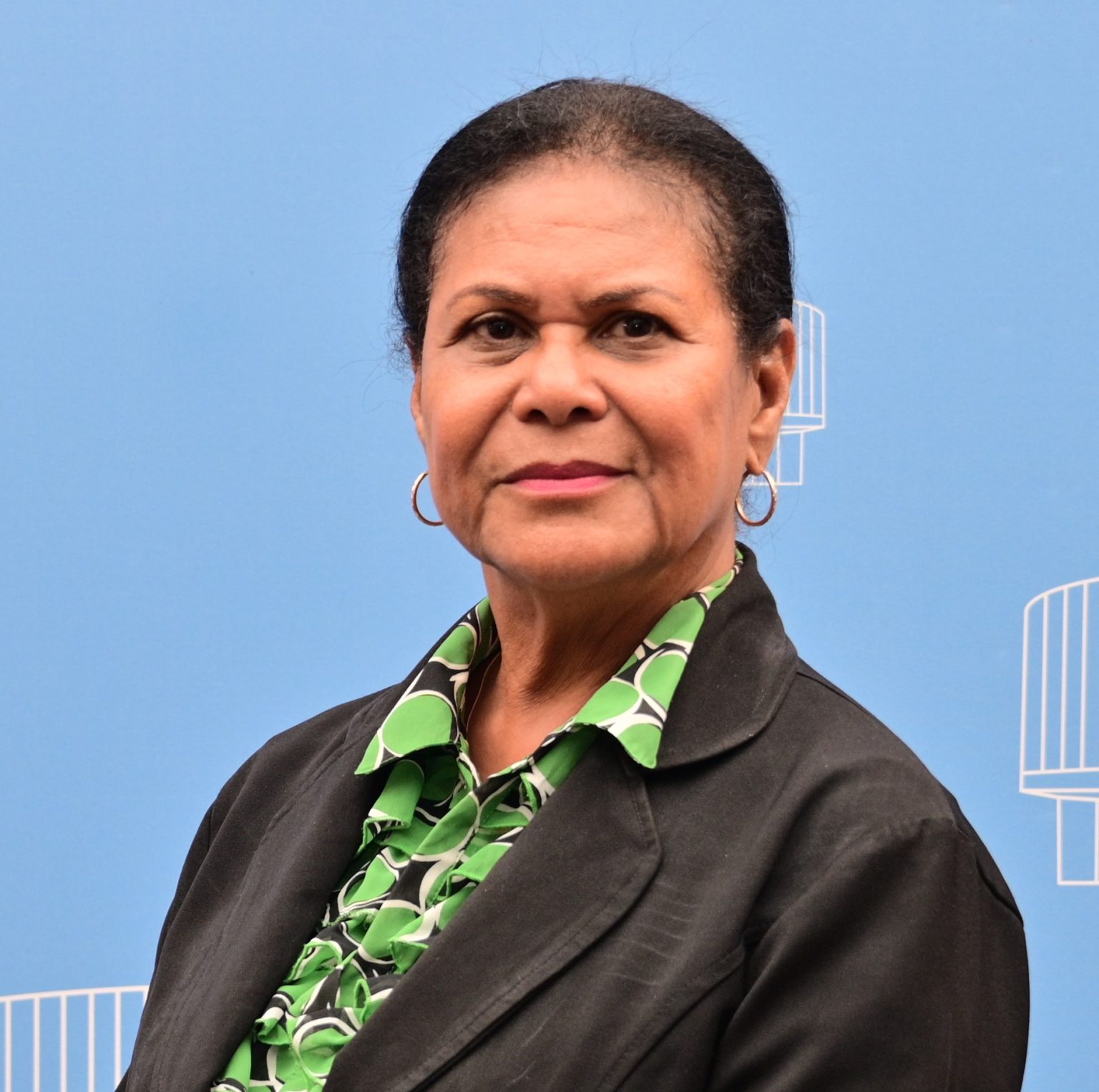 Hon.Members - Mauritius National Assembly